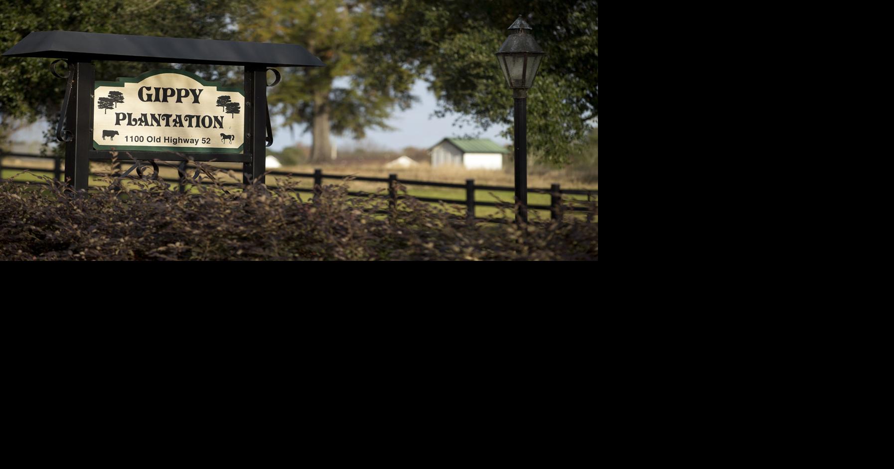 Gippy Plantation development plans continue to frustrate Berkeley ...