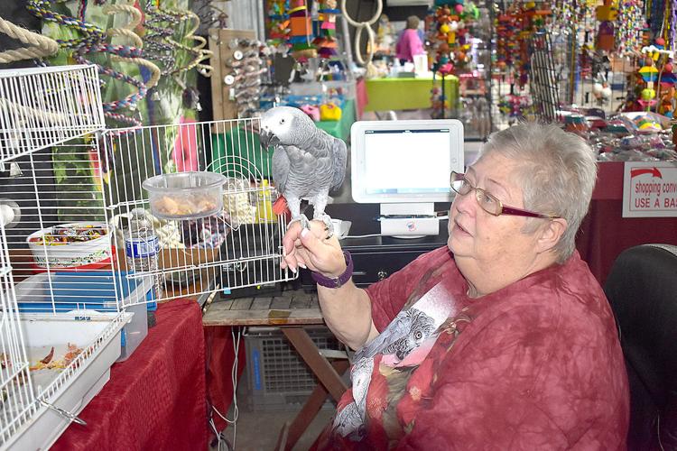 Exotic Bird Fair returns to Aiken fairgrounds this weekend