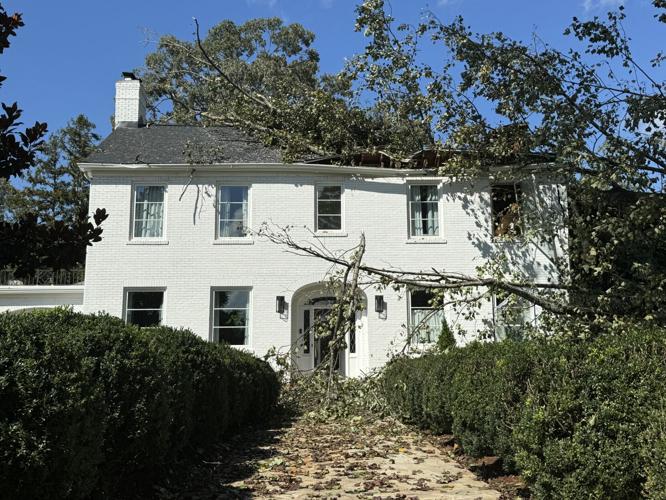 Hurricane Helene turned Greenville's trees into weapons