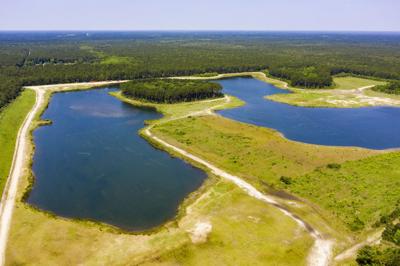 Awendaw council approves new park plans without clear way to pay for it