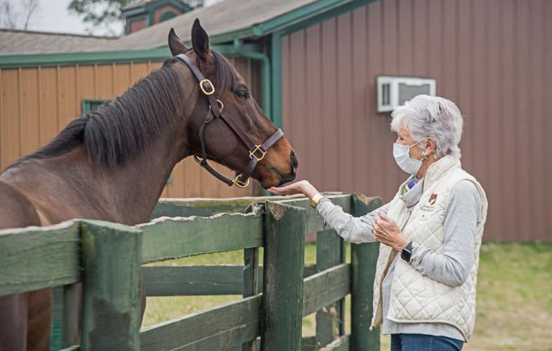 Last horse to race for Dogwood Stable has a new home at Equine Rescue ...
