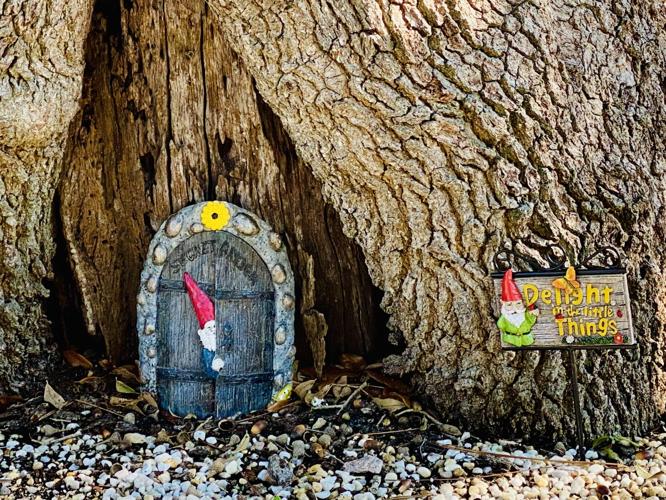 Reader photo pick of the week: Home | Features | postandcourier.com