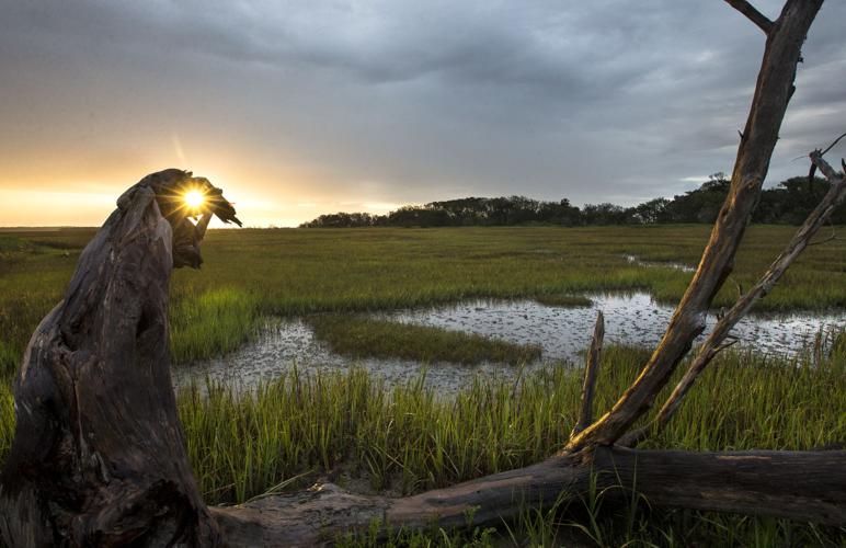 Photos: Archeologists discover two prehistoric shell ring sites at ...