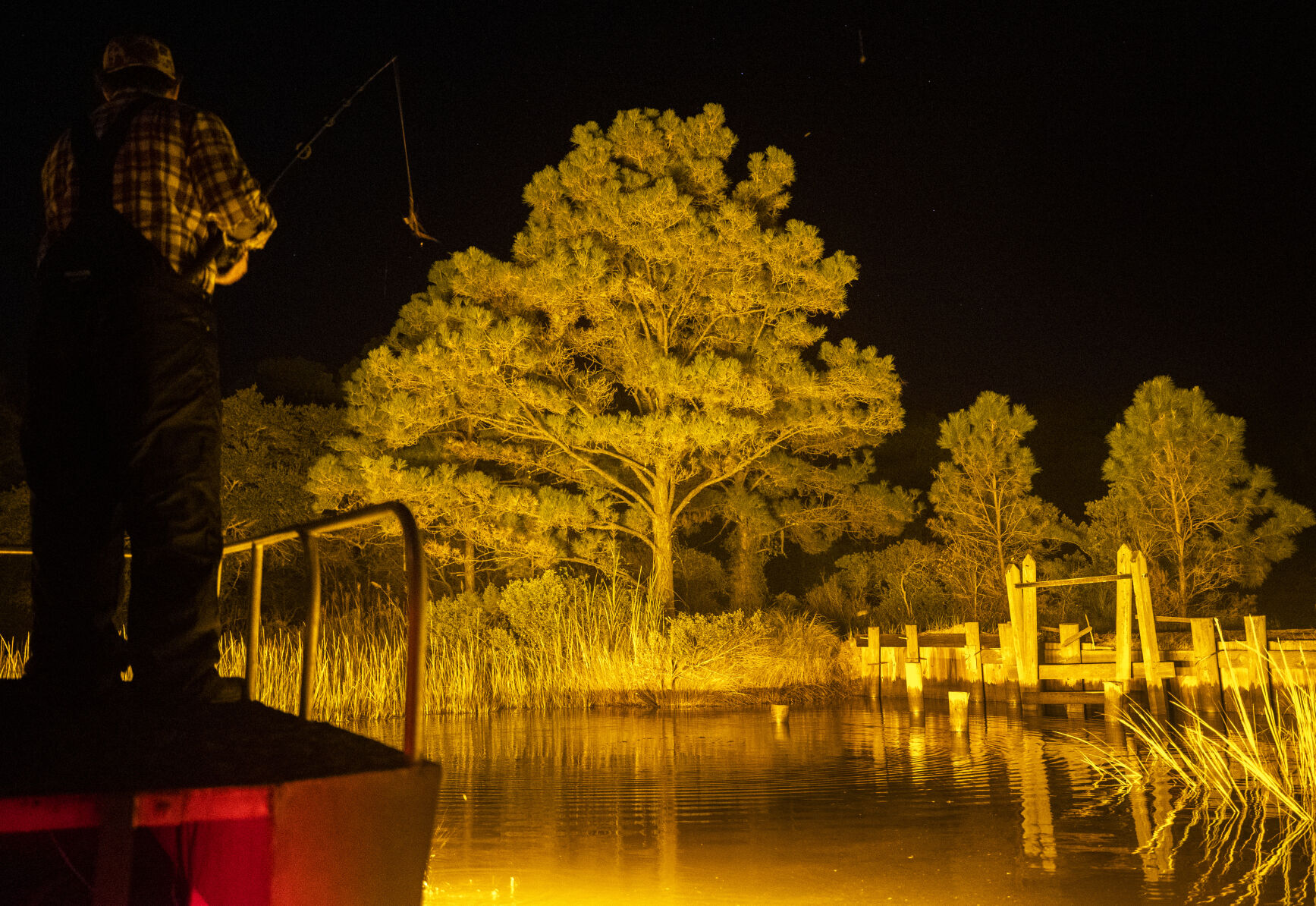 SC alligator hunters patrol waters for the elusive reptile