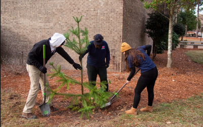 USC Aiken's Ruth Patrick center to hold virtual Earth Week events ...
