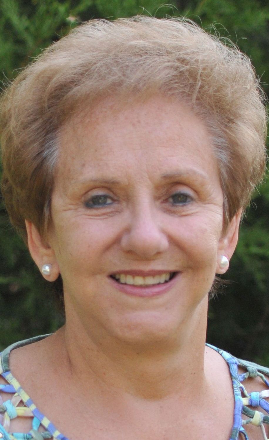 Suspended DD2 board member to go through a Pretrial Intervention Program