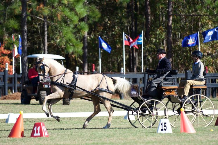 Katydid Combined Driving Event draws weekend crowd in Aiken County ...