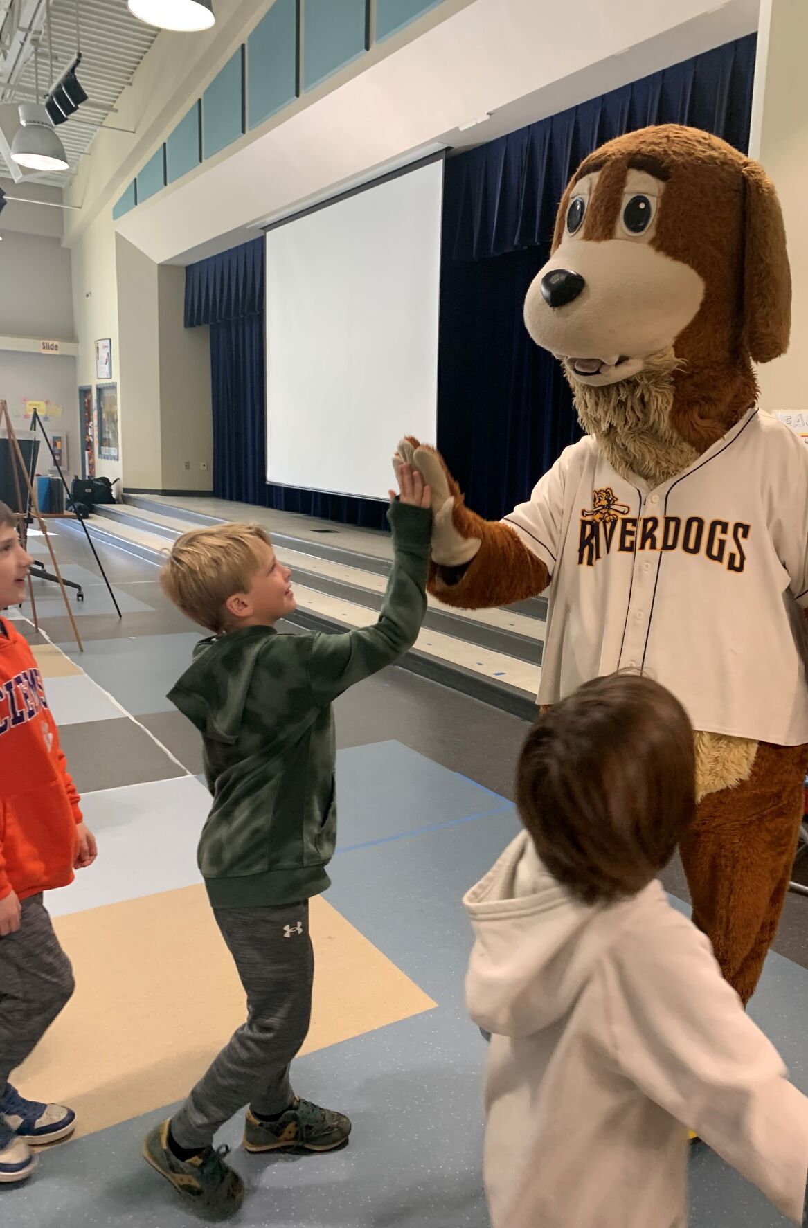 Second graders hear from MLB pitcher, former RiverDogs player ...