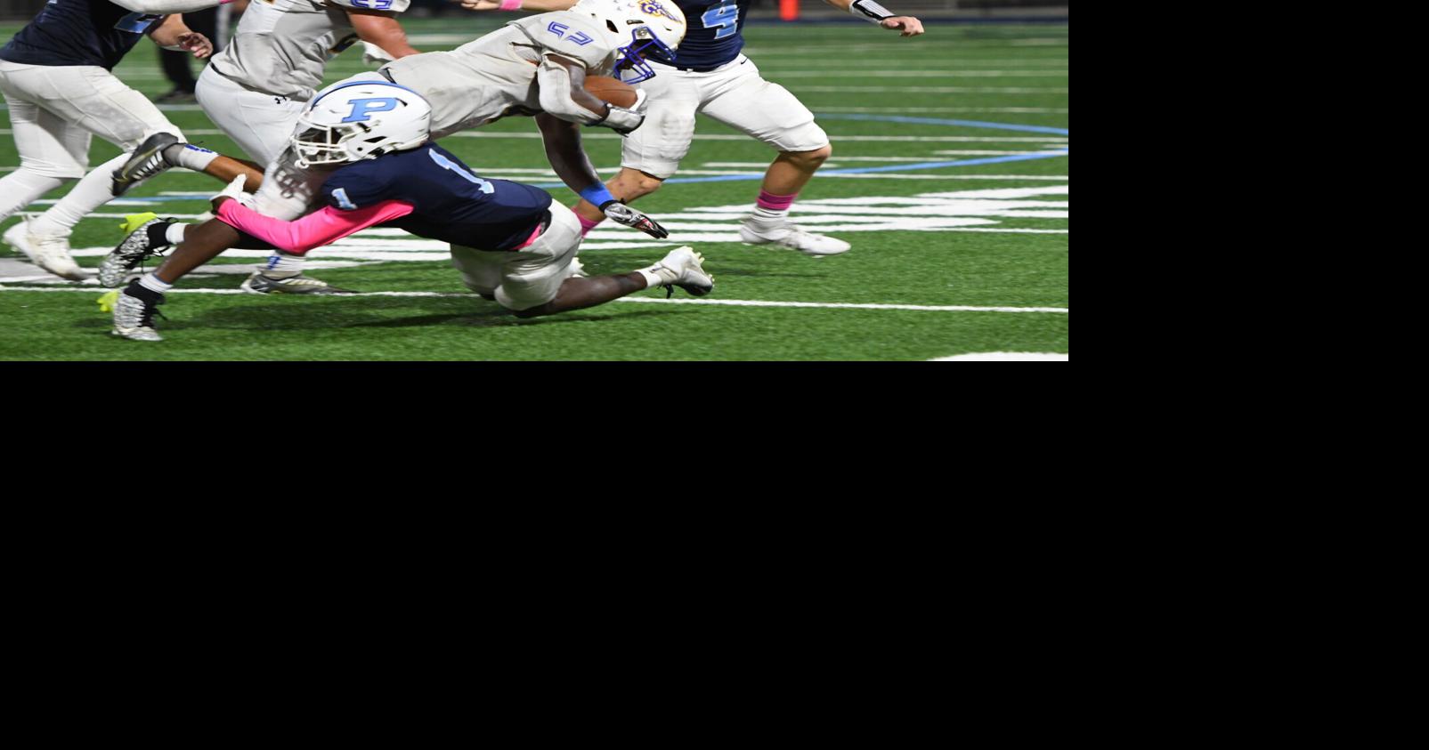 Panthers should be able to build off 2023 season