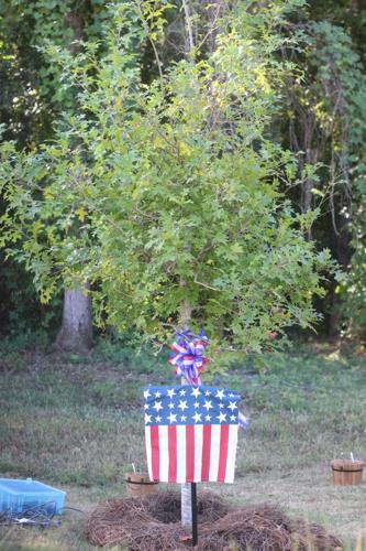 Children explore history at Liberty Tree dedication