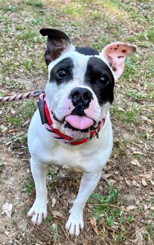 FOTAS: Share a post, save a life | Features | postandcourier.com