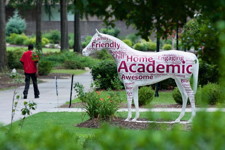 USC Aiken students named Magellan Scholars