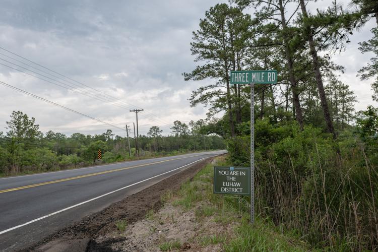 Photos: 2,700 acres of former Chelsea Plantation preserved
