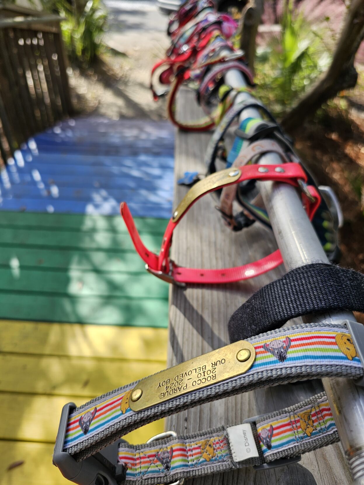 Folly Beach's Rainbow Bridge a place to grieve, honor pets
