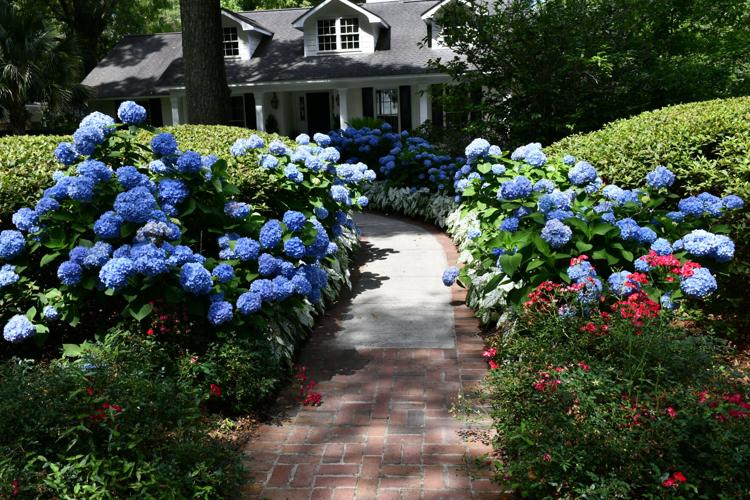 Flowertown in full bloom