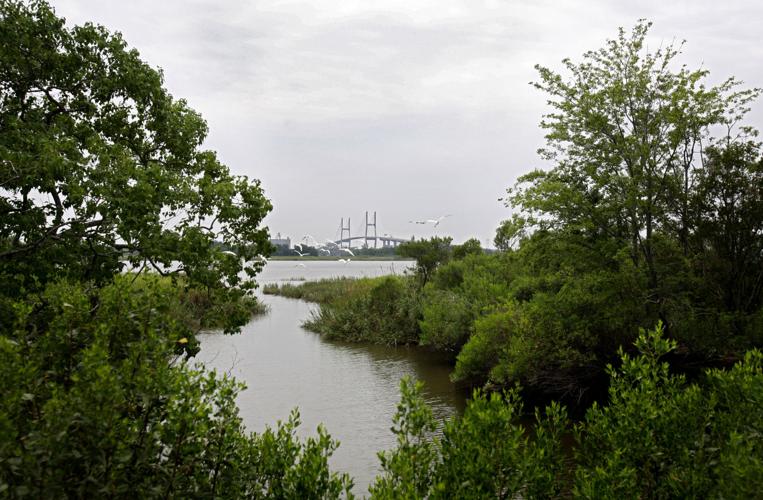Jasper port backers, upset about lack of progress, wary of raising too ...