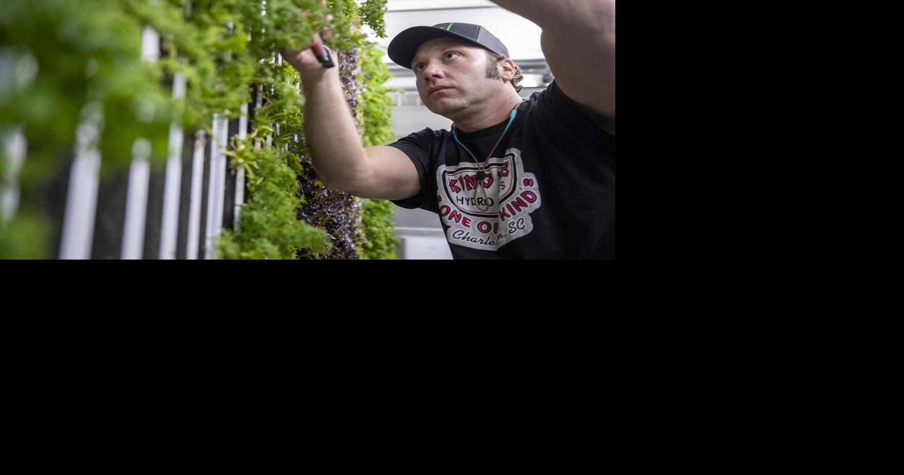 SC farmers grow rare produce for top Charleston restaurants