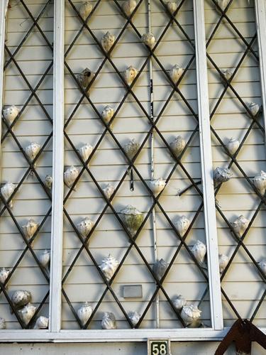 Popular Charleston garden recently changed hands | News ...