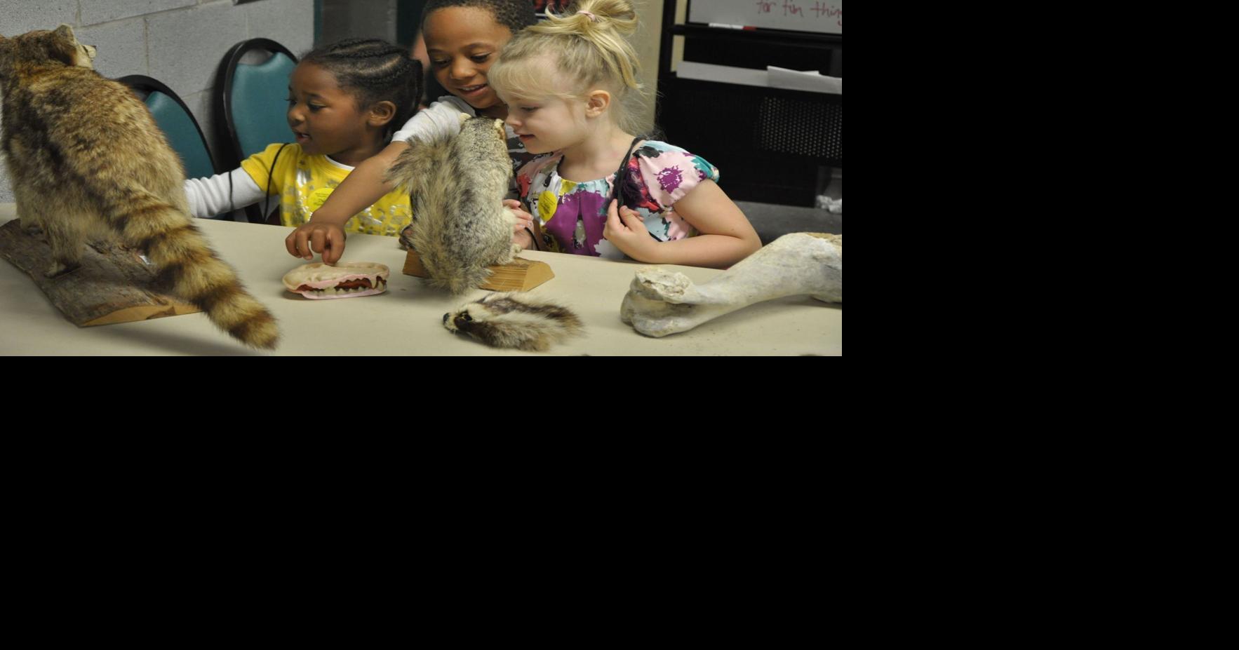 Ruth Patrick Science Education Center to feature Family Earth and Sky ...