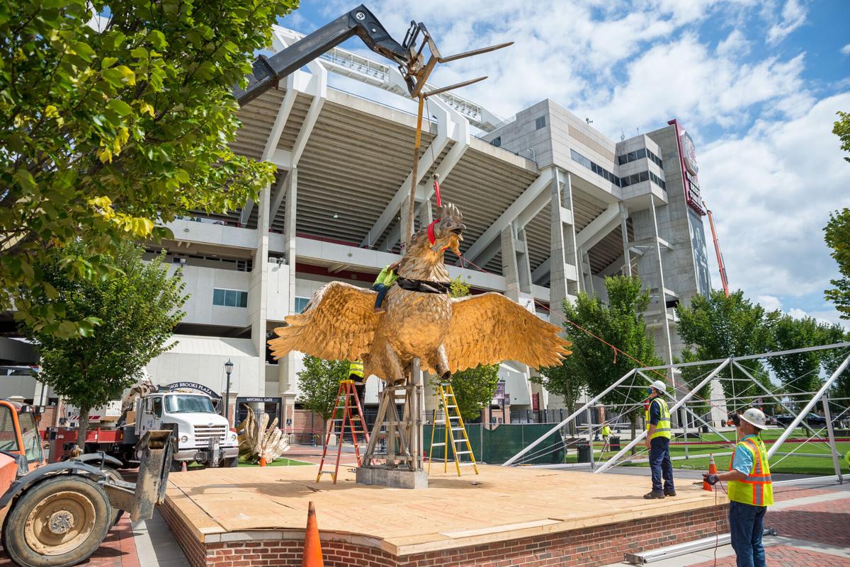 Gamecock statue a long time coming, but worth it to Isle of Palms ...