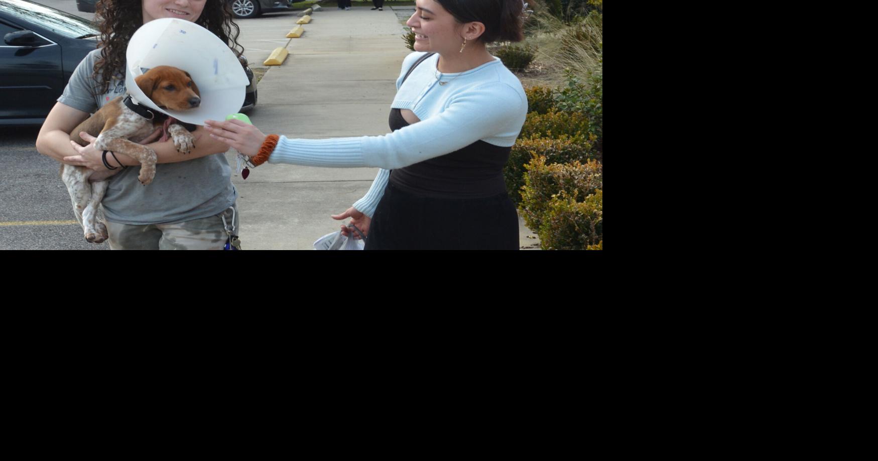 Albrecht SPCA Center celebrates 90 years of Aiken-area aid