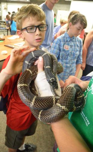 Generac Foundation donation will support STEM education at USC Aiken's ...