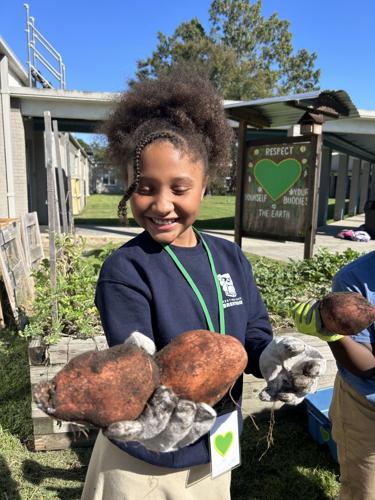 The Green Heart Project: Cultivating community through gardening ...