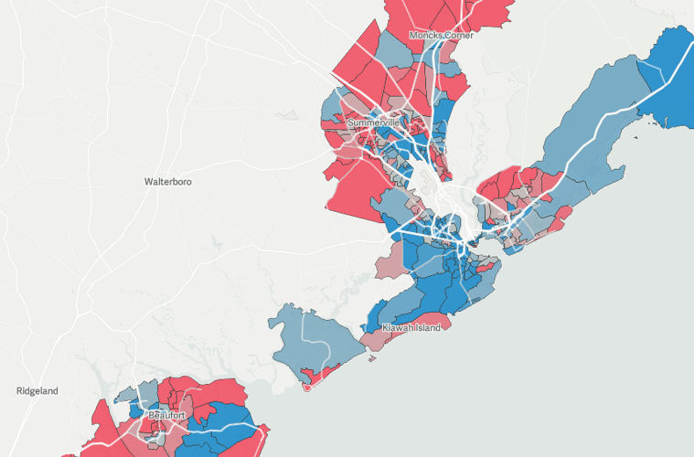 How your neighborhood voted when the 1st District turned blue