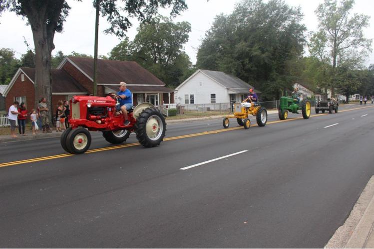 25th Annual Sassafras Festival offers plenty of entertainment