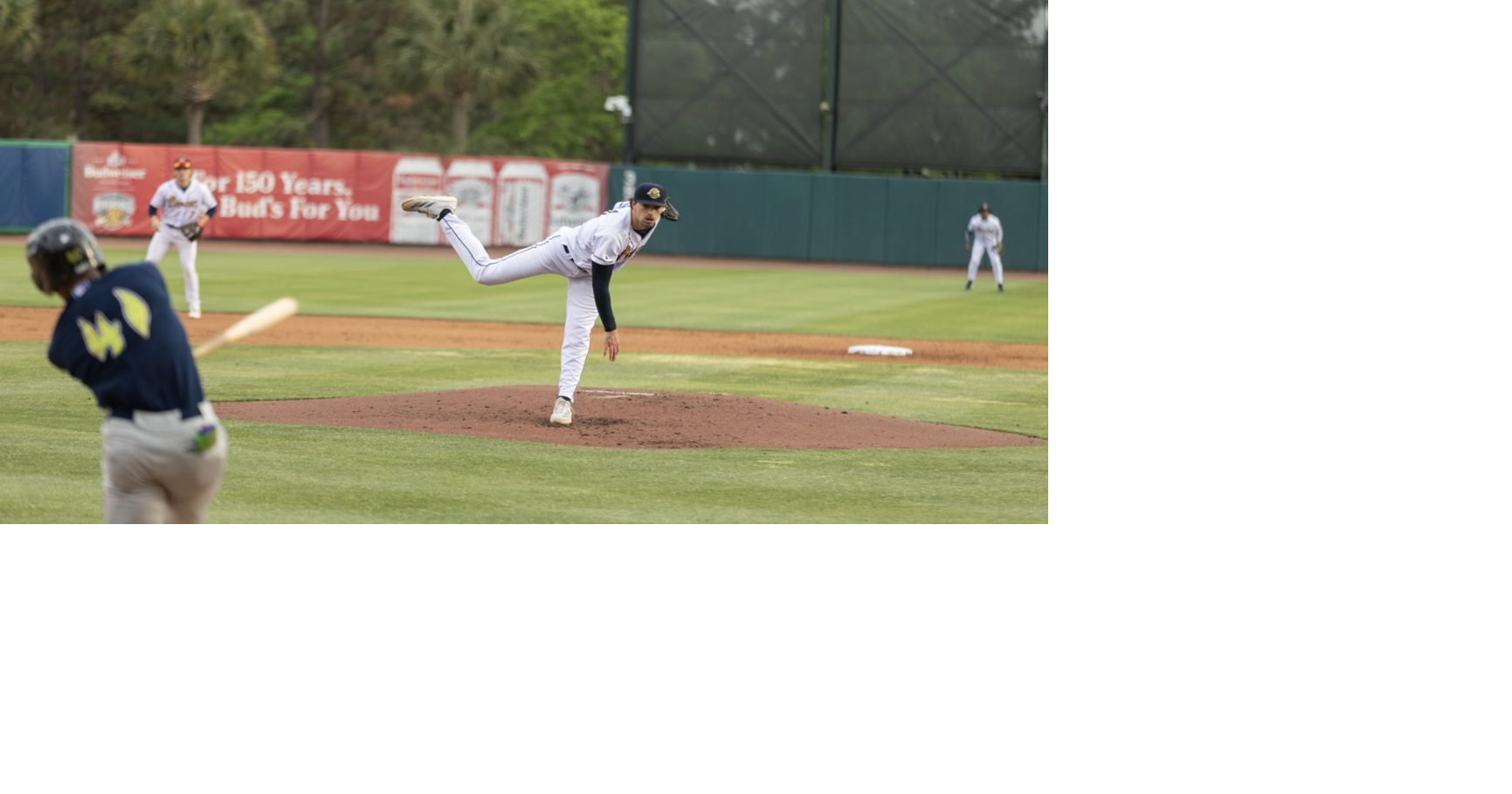 Charleston RiverDogs split doubleheader with Columbia