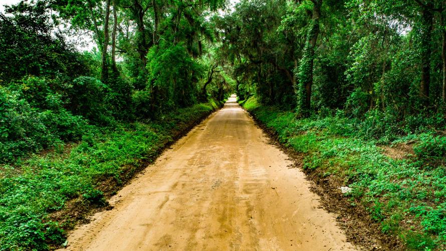 Historians to unveil South Carolina Liberty Trail of American ...