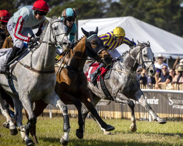 Risk Taking, Dalton win Alston Cup at Charleston horse race