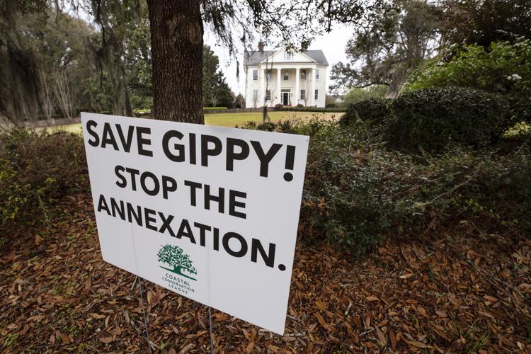 Photos: Cooper River Historic District pressured by development
