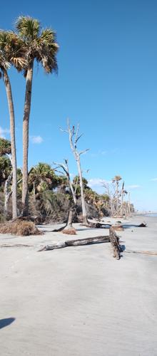 The wild allure of Dewees Island