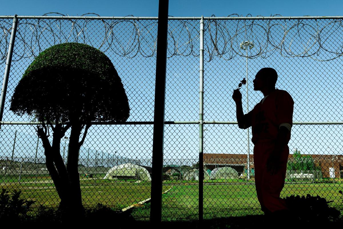Inmate fills Broad River Correctional with flower gardens