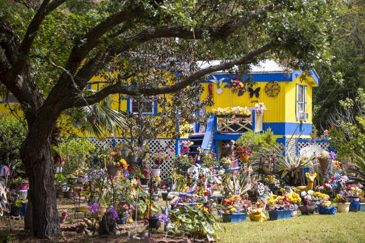 Mount Pleasant SC considers Hamlin community protections