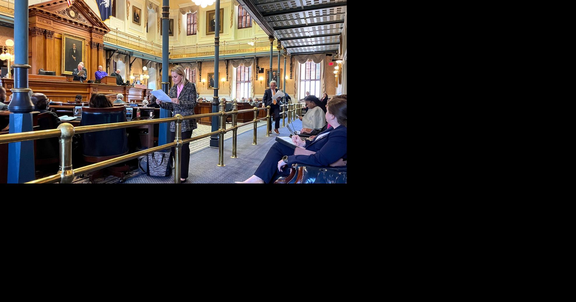 SC Sen Sandy Senn faces Rep Matt Leber in June 11 priamary