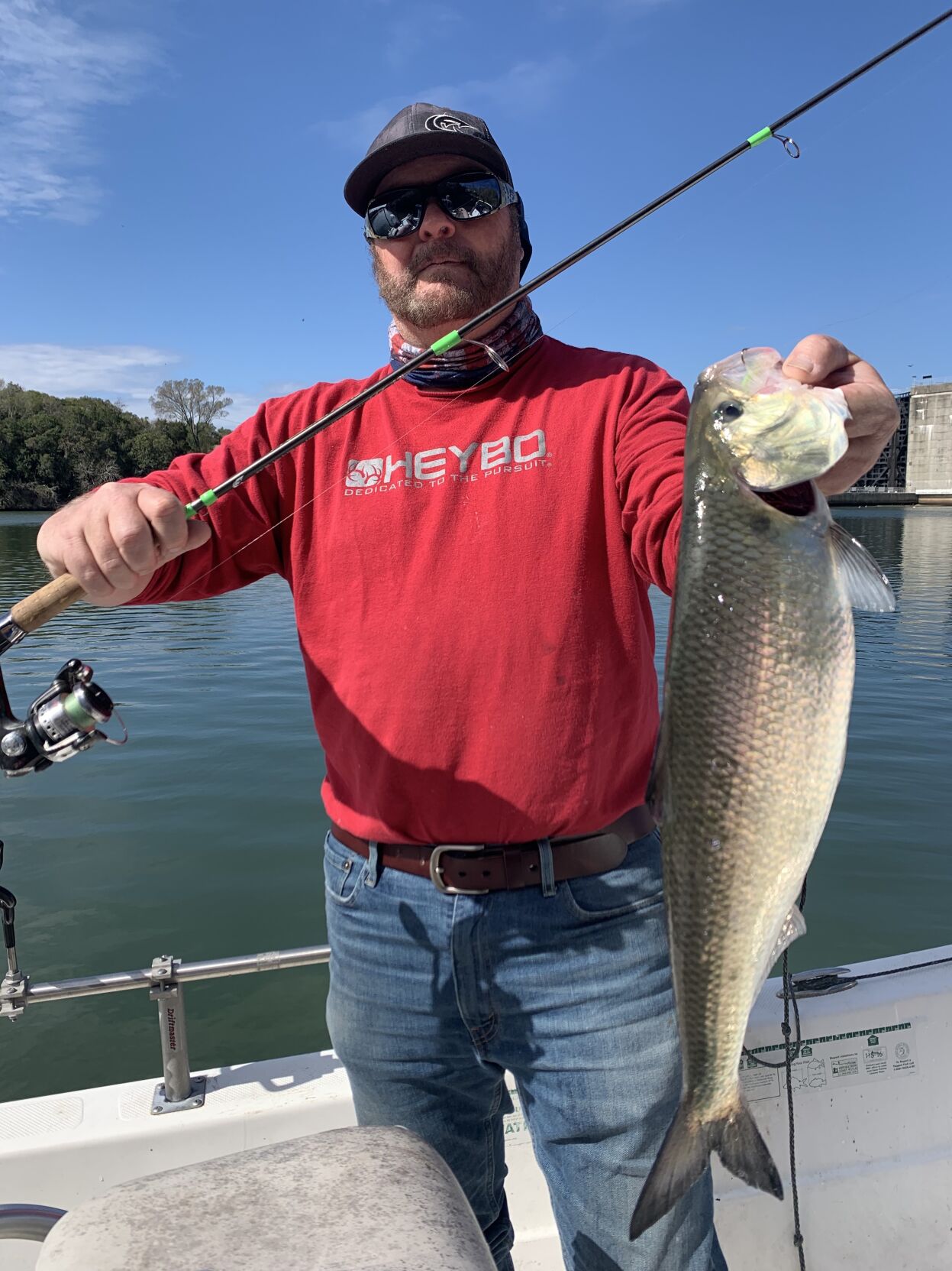 Yellow pollen on the water means it's time to hit the rivers for this ...