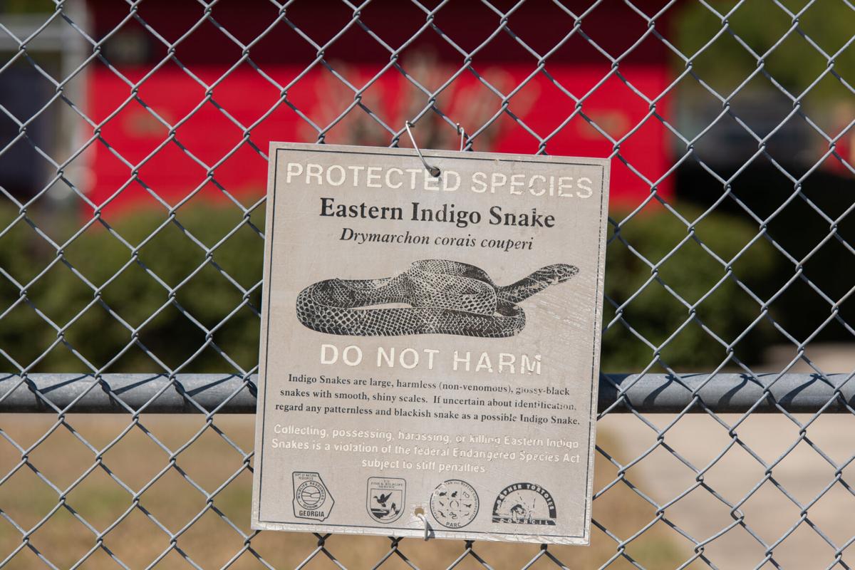Fighter jets and conservation on Marine corps bombing range