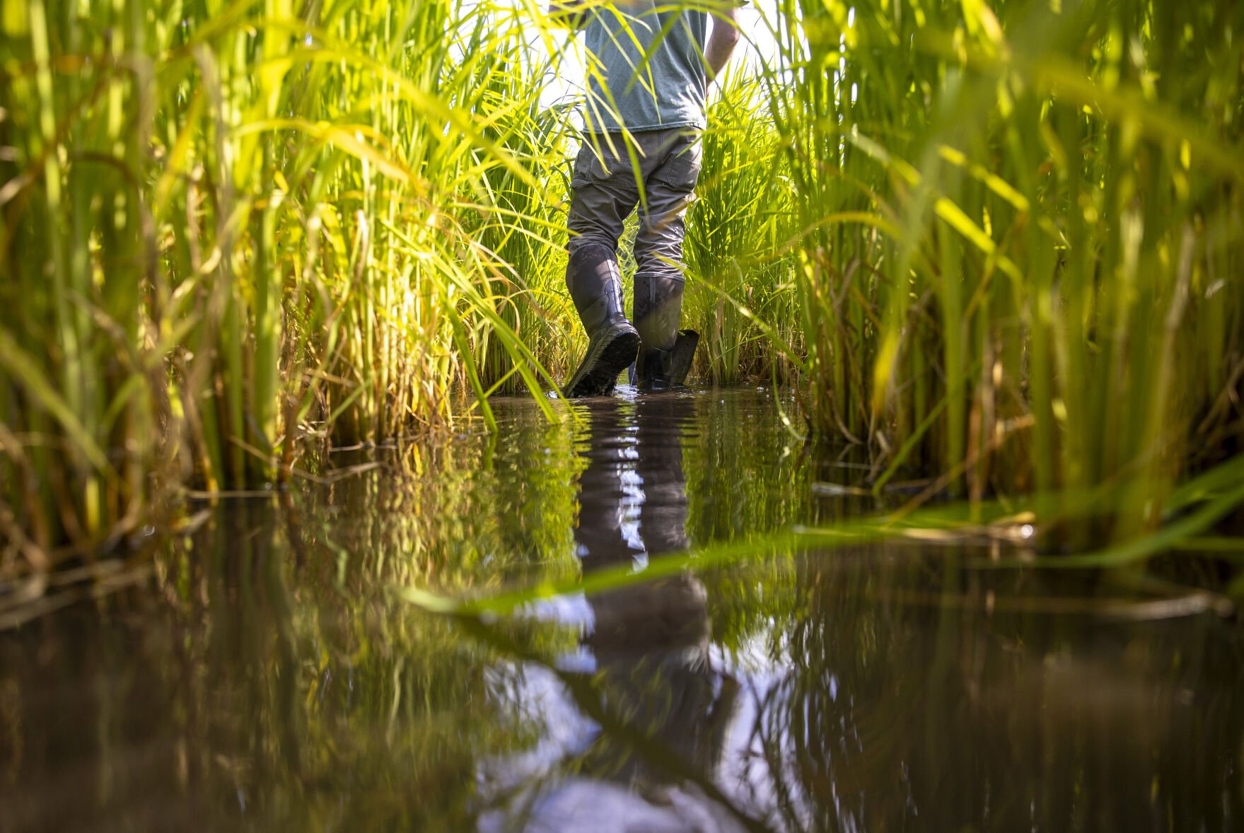 Page A1 | E‑Paper – The Post and Courier | Full Digital SC’s Top Newspaper