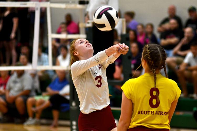 10 named to all-area volleyball team | Local Sports | postandcourier.com