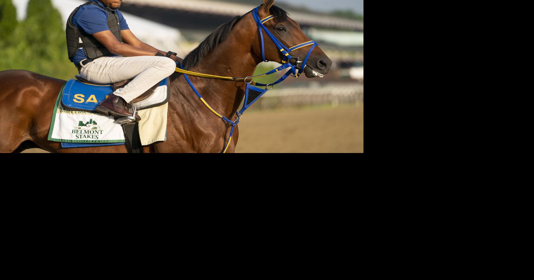 National horse racing safety rules being implemented July 1 | Sports ...