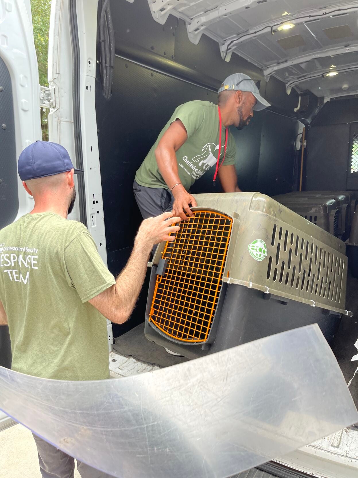 State's animal shelters ask for public's help as influx of pets ...