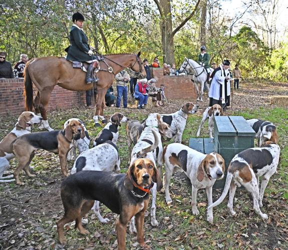 Blessing of Hounds ceremony returns to Hitchcock Woods