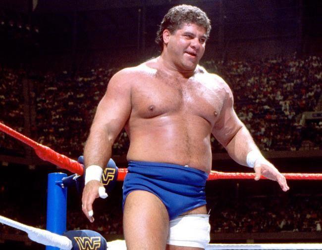 Where is Don Muraco now? | Wrestling | postandcourier.com