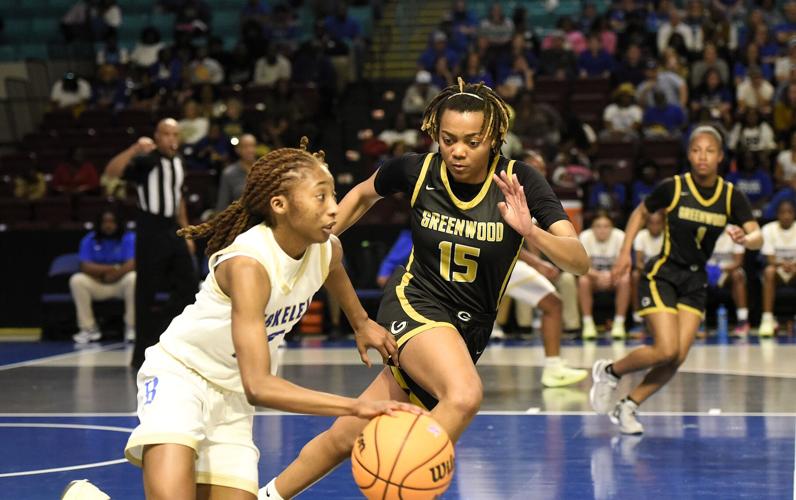 Lady Stags win it all