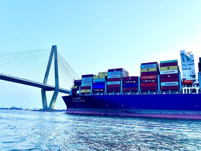 Can the Ravenel Bridge weather a cargo ship collision?