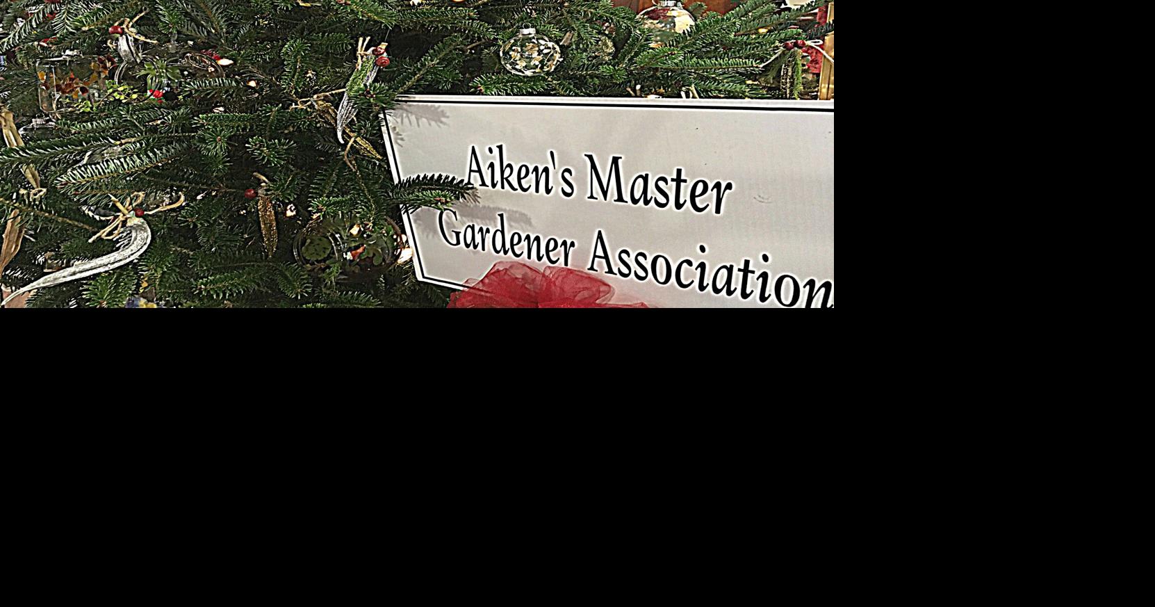 AIKEN MASTER GARDENERS: Real Christmas trees have environmental ...