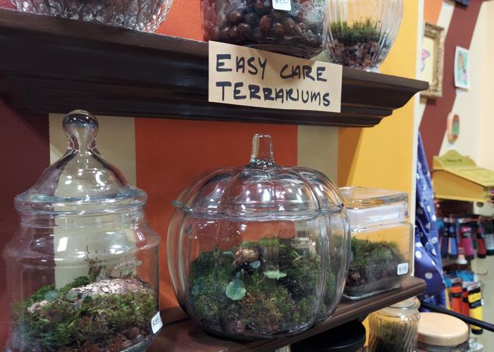 Sounds of the '70s: Lovers of vintage items team up to open Throwback ...