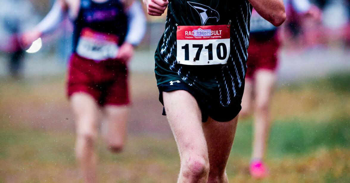 Swanton crowned SC cross country champ